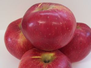 Malus domestica 'Wolf River' Wolf River Apple from Grandpa's Orchard